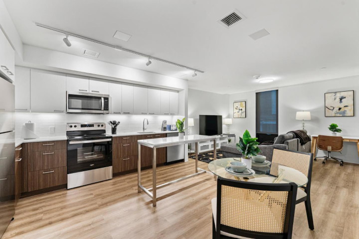 Furnished Luxury Apartment Next To Harvard Stadium - Dedham, MA