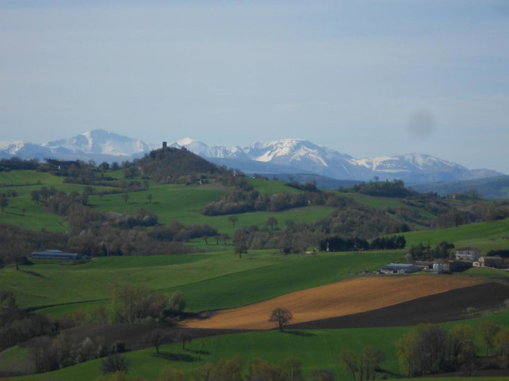 L'isola Che Non C'era - Marche