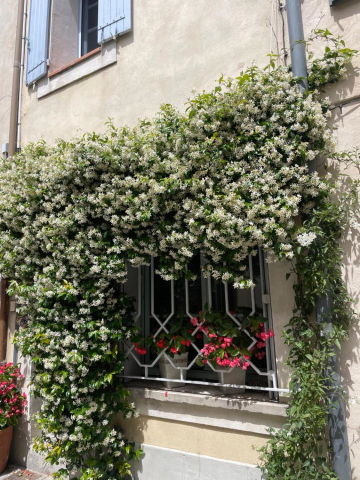 Logement Clim Et Patio Centre Remparts - Saint-Laurent-d'Aigouze