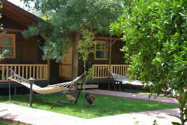 Caretta Caretta Pension - Turkey
