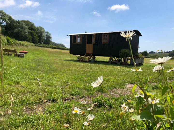 Deer Lodge Shepherds Hut - Hayling Island