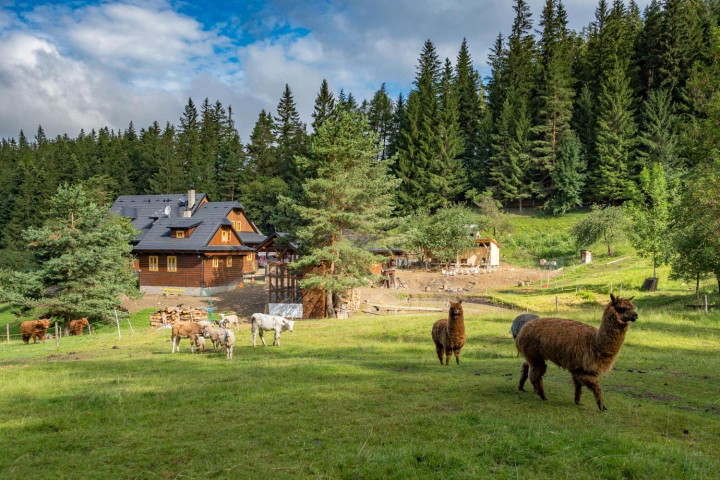 Statek U Rajmunda Zemědělská Farma - Czechia