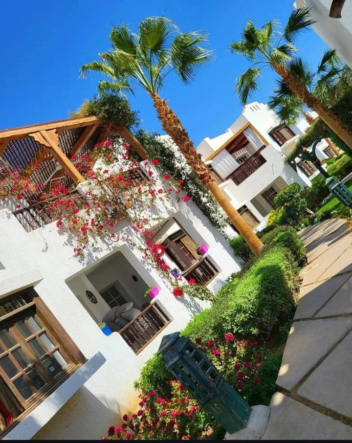 دلتا شرم - Sharm El-Sheikh