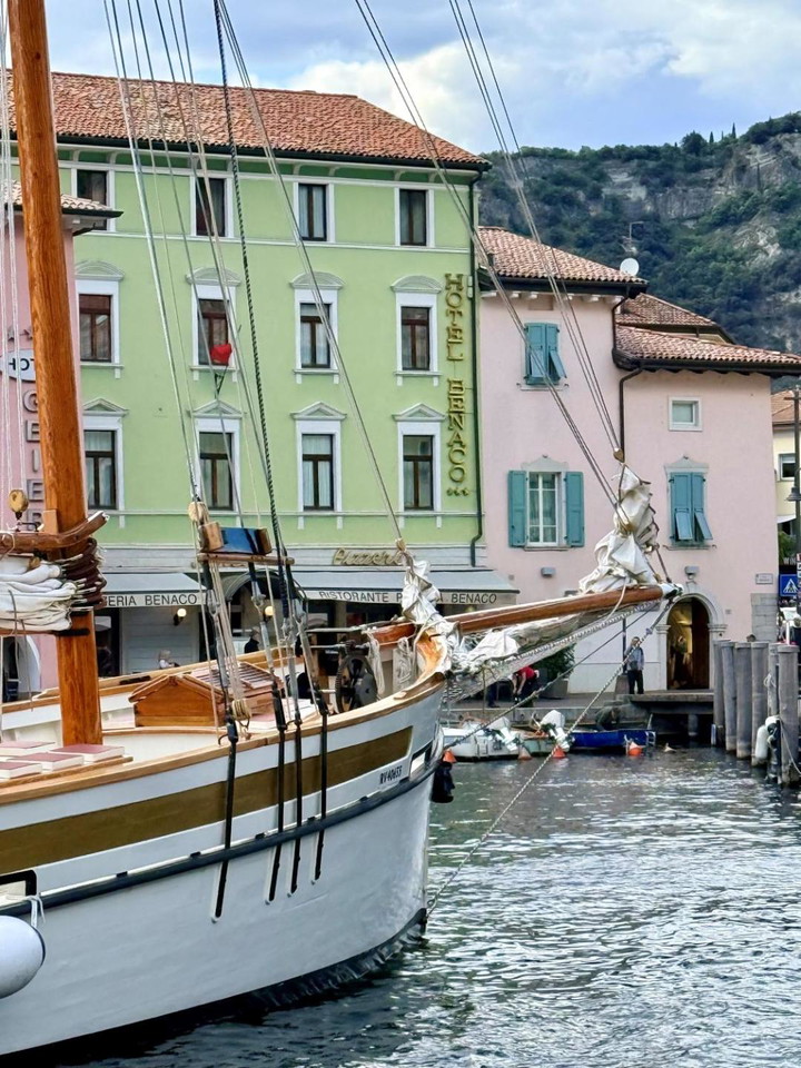 Lake Hotel Benaco - Trentino
