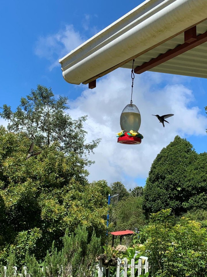 Cabaña Mamá Elia - Costa Rica