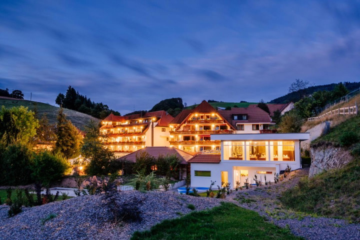 Wellnesshotel Ludinmühle - Ettenheim