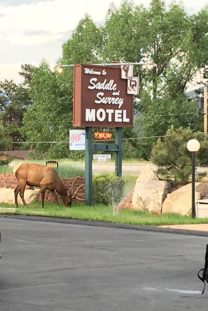 Saddle & Surrey Motel - Estes Park, CO