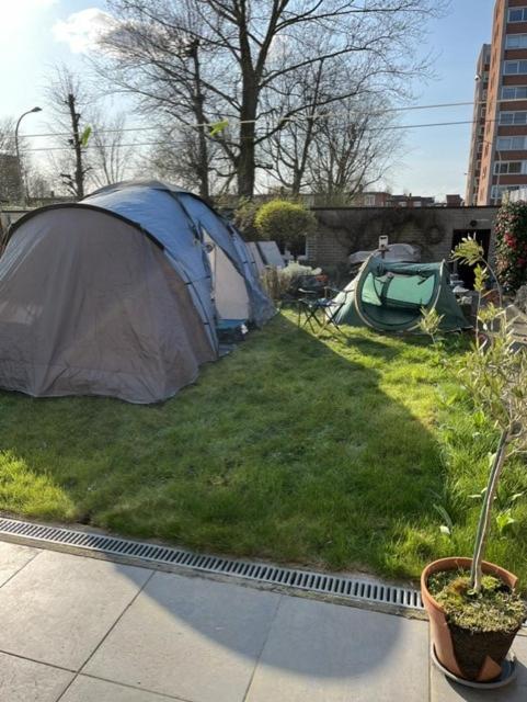 Groene Tent Voor 2 Personen, 1 Km Van Tomorrowland - Boom