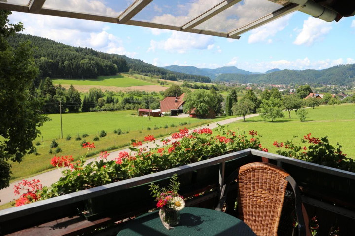 Apartment Ahorn Im Schwarzwald - Gengenbach