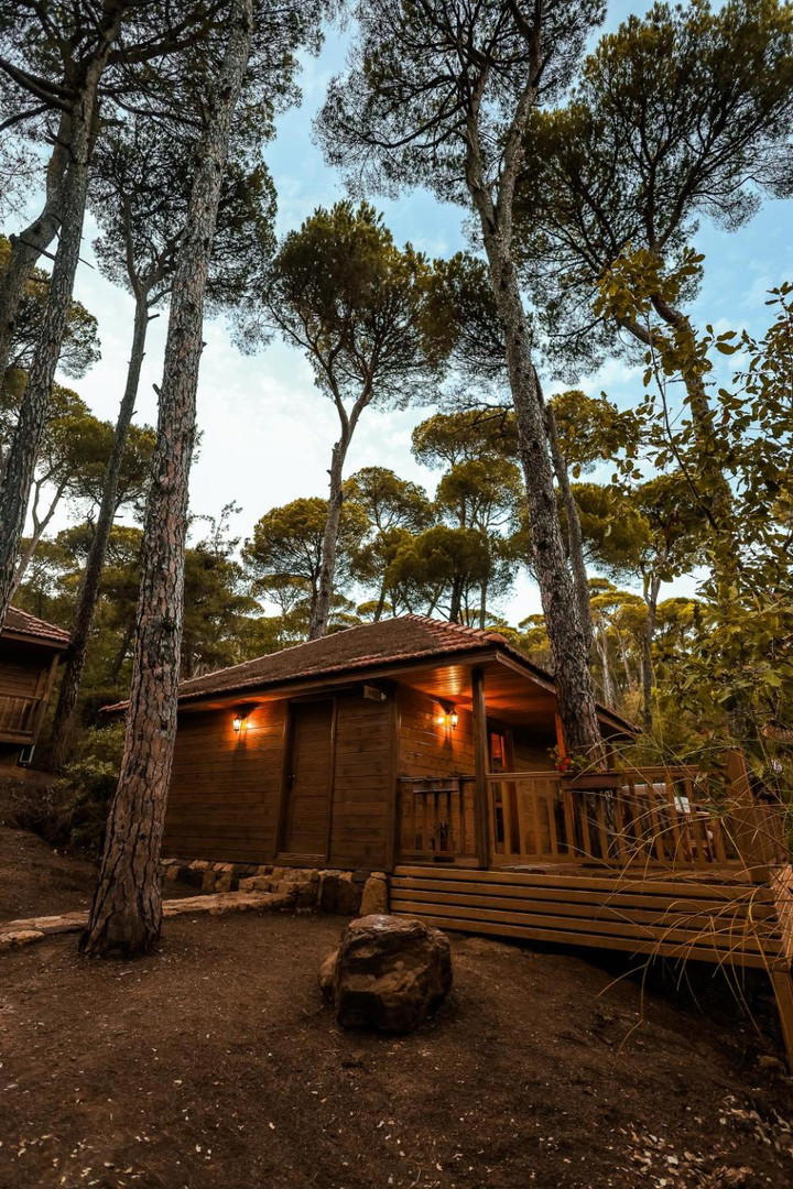 La Maison De La Forêt - Liban