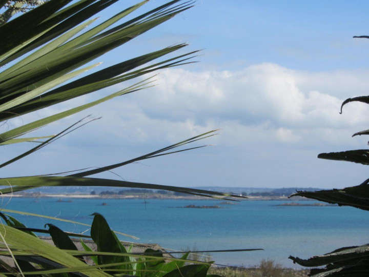 Appartement Vue Panoramique Sur Baie De Morlaix - Carantec