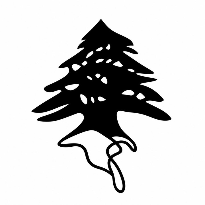 Lebanon Hostel - Liban