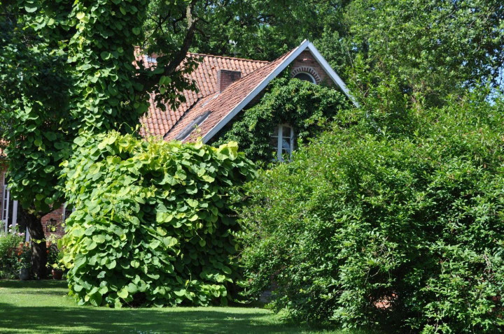Alte Schule Bollersen - Bergen
