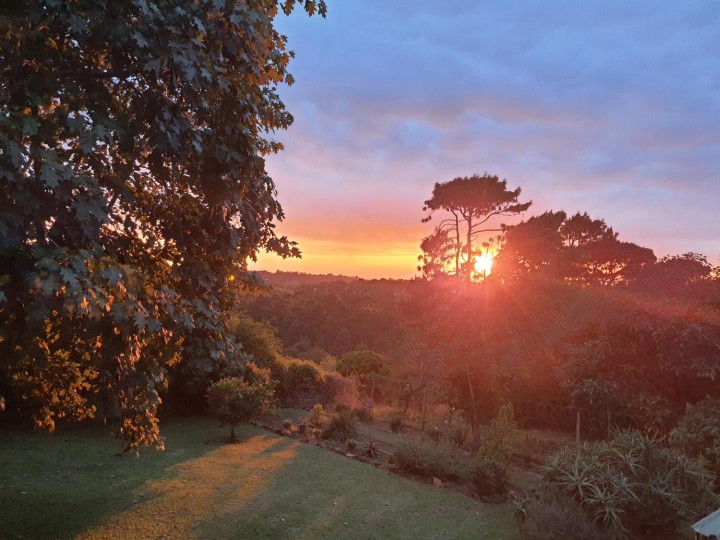 Monkey Heartland - Kloof