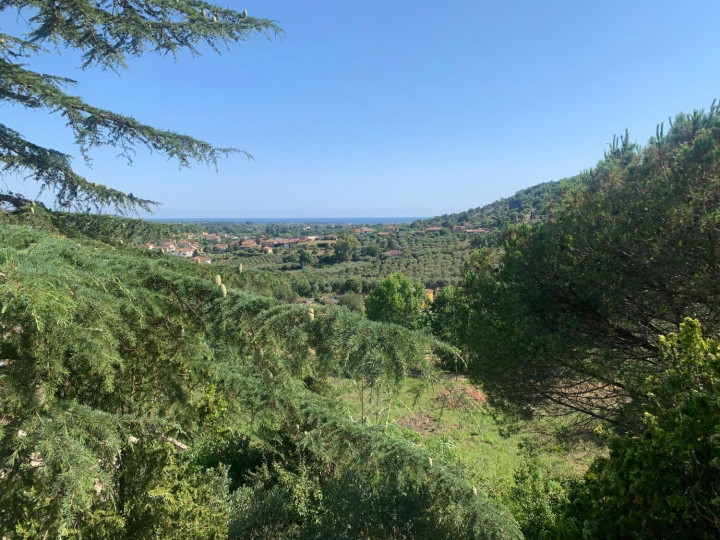 Villa Panorama - Casal Velino