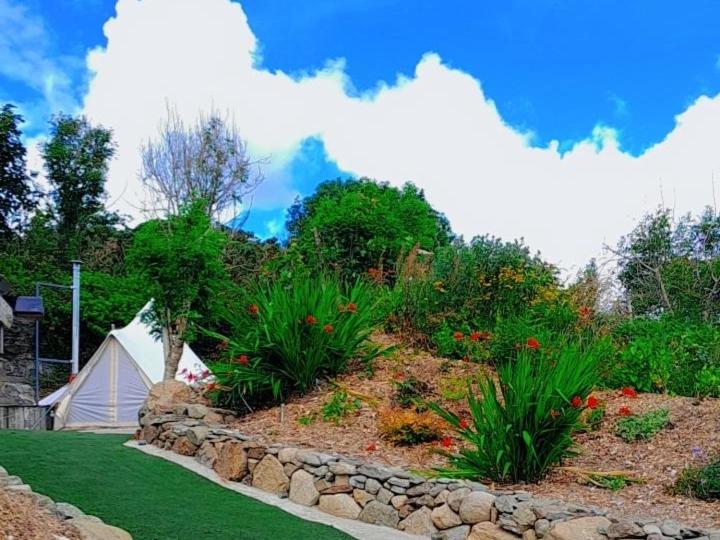 Fairy Cove At Rosemount Glamping - Carlingford