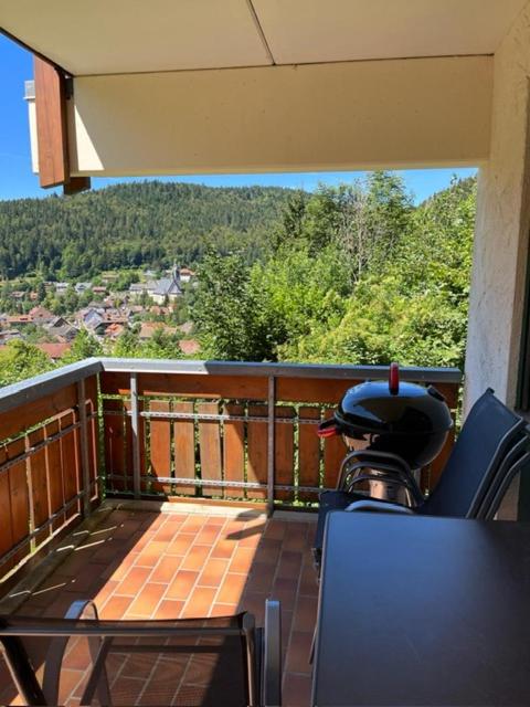 Ferienwohnung Schöne Aussicht - Todtmoos