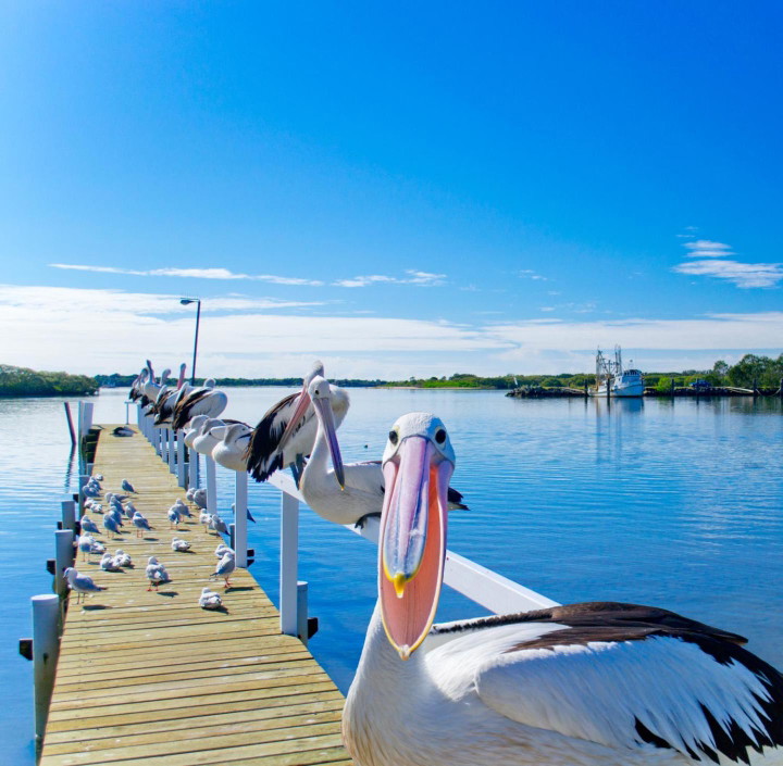Moby Dick Waterfront Resort Motel - Iluka