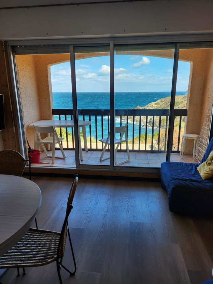 Appartement Vue Mer Port Vendres Collioure Direct Crique Wifi - Collioure