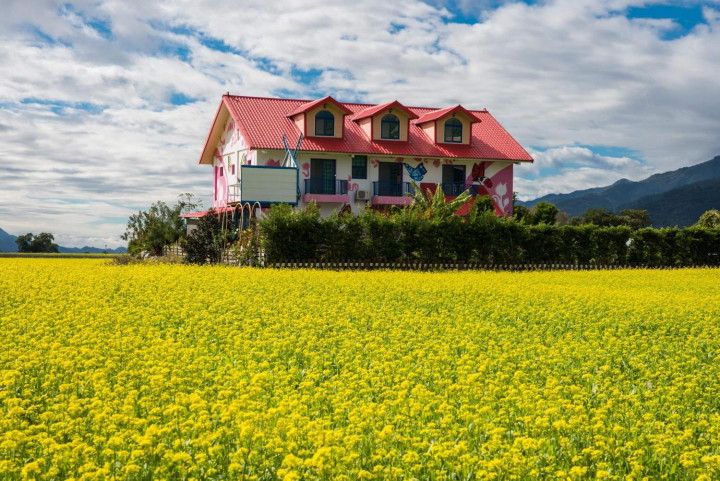 關山稻香田園民宿 - Taitung County