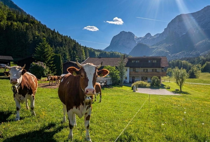 Bergbauernhof Klauslehen - Bad Reichenhall