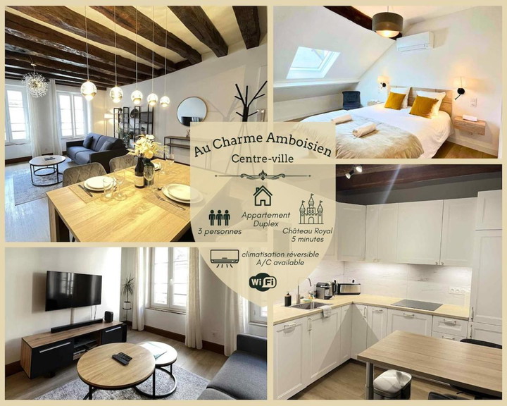 Au Charme Amboisien - Centre-ville Et Climatisé - Amboise