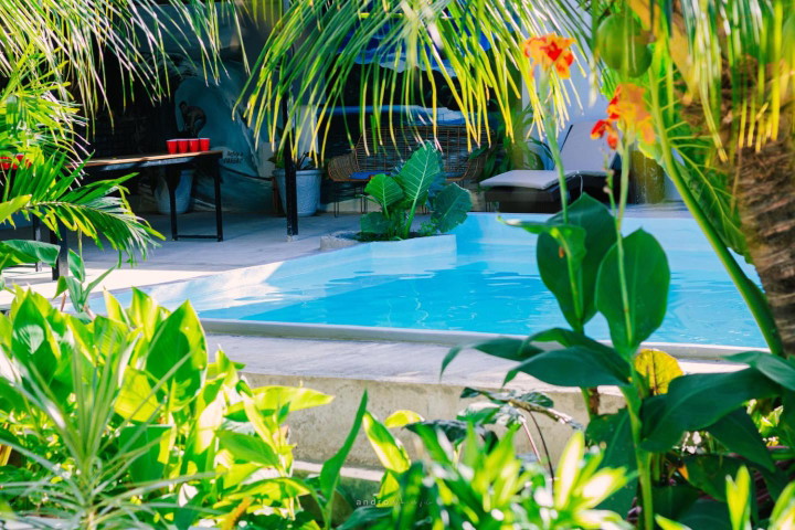Ananas Guesthouse - Badian