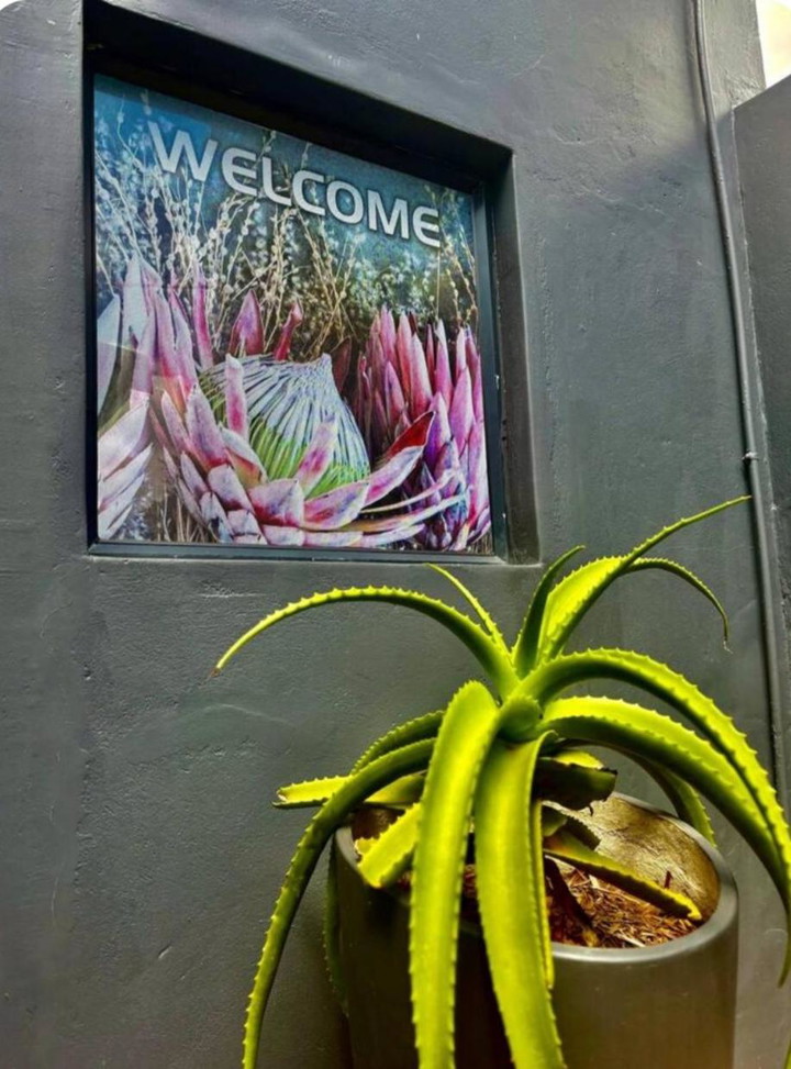 The Midlands Protea - Howick