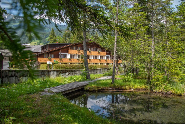 Hôtel Les Sources - Lauenen