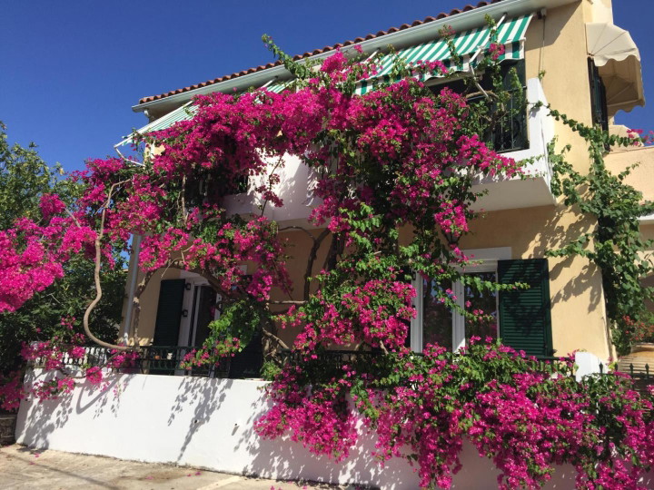 Casa Buganvilla - Cephalonia