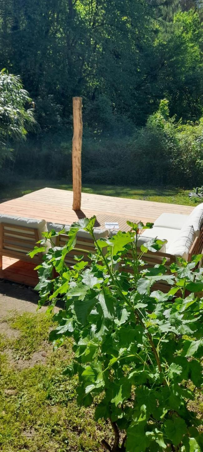 Bachgeflüster 2,5 Zimmer Mit Terrasse Direkt Am Bach, Maximal Für 2 Erw2kinder, Grillplatz, - Darmstadt