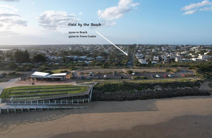 Field By The Beach - Leopold