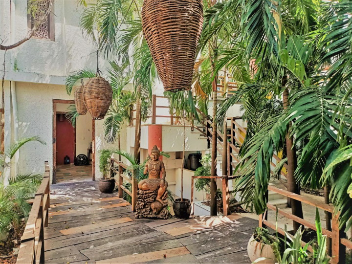 Tesoro Escondido - Cozumel