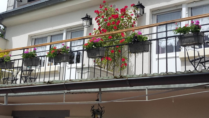 Les Iris Chambres D’hôte - Riquewihr