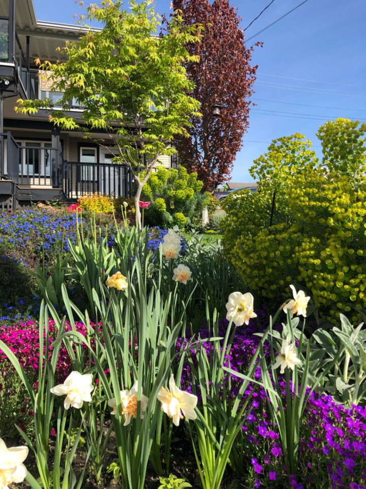 Lovely J Home -Stunning River View Cozy Two Bedroom Private Suite - New Westminster