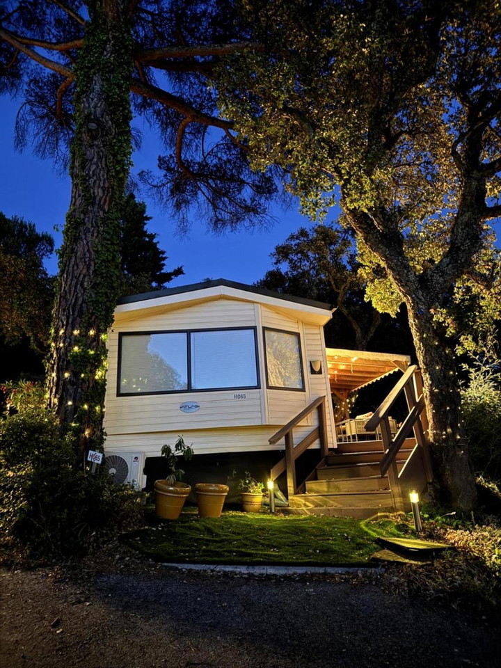 St Tropez Surprise - Grimaud