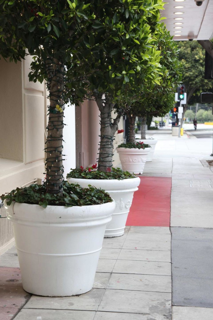 Hotel Carmel Santa Monica - Santa Monica, CA