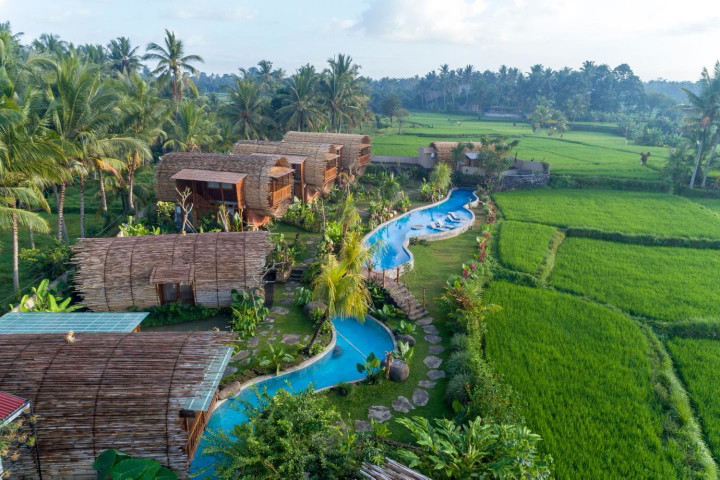 Beehouse Dijiwa Ubud - Ubud