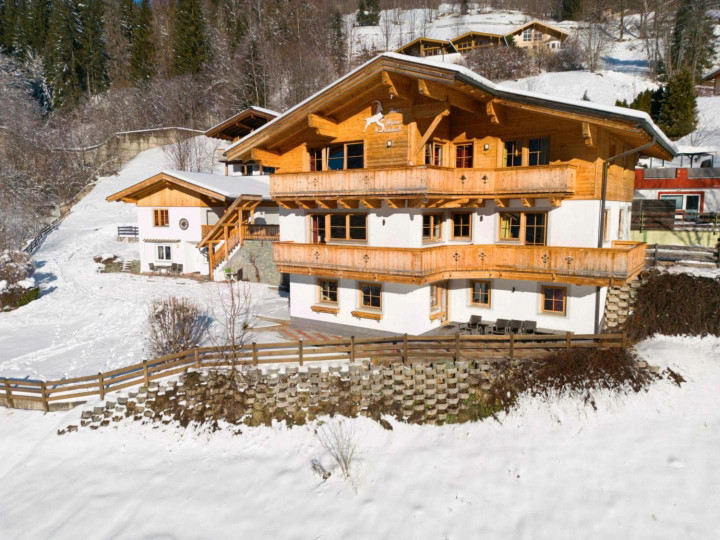 Alpensteinbock Saalbach A - Leogang