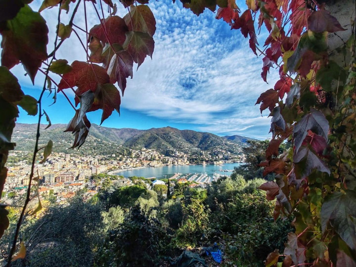 Sunrise - Rapallo