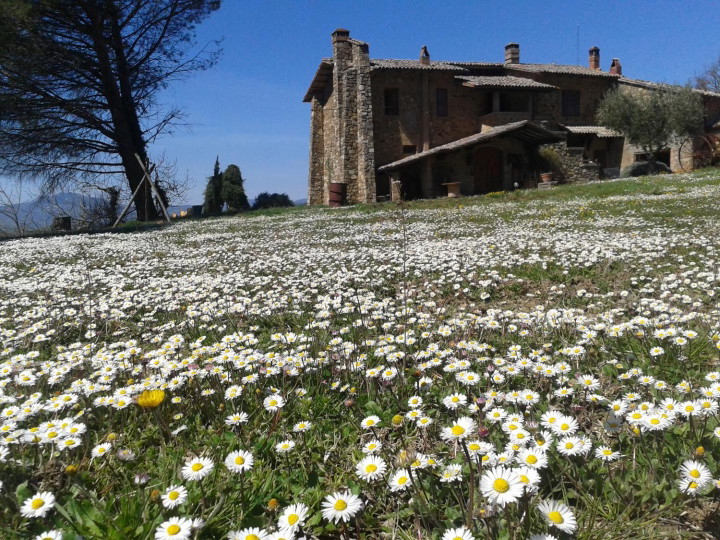 Agriturismo Le Roghete - Provincia di Viterbo