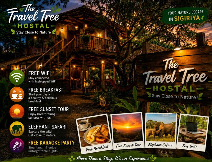 The Travel Tree Hostel - Sri Lanka