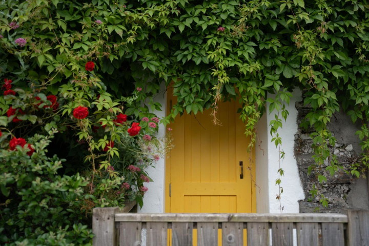 The Roost - Westport, Ireland