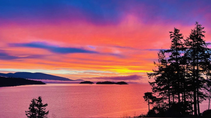 Oceanfront Garden Suite - Stunning Views & Wildlife - Sechelt