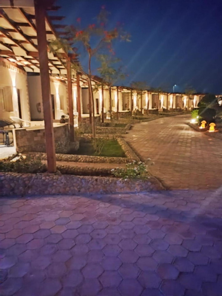 Dolphin Continental Hotel - Egypt