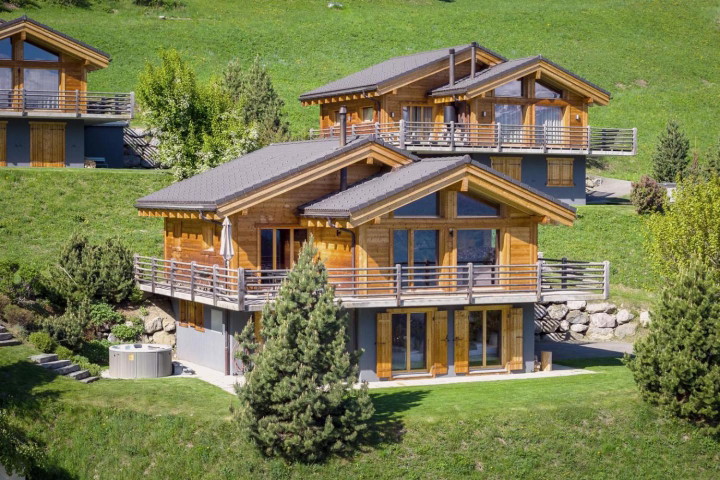 Chalet Aramis - Switzerland