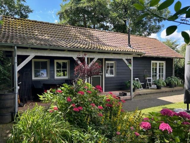 Natuurhuisje Nabij Ouddorp In Goedereede - Ouddorp