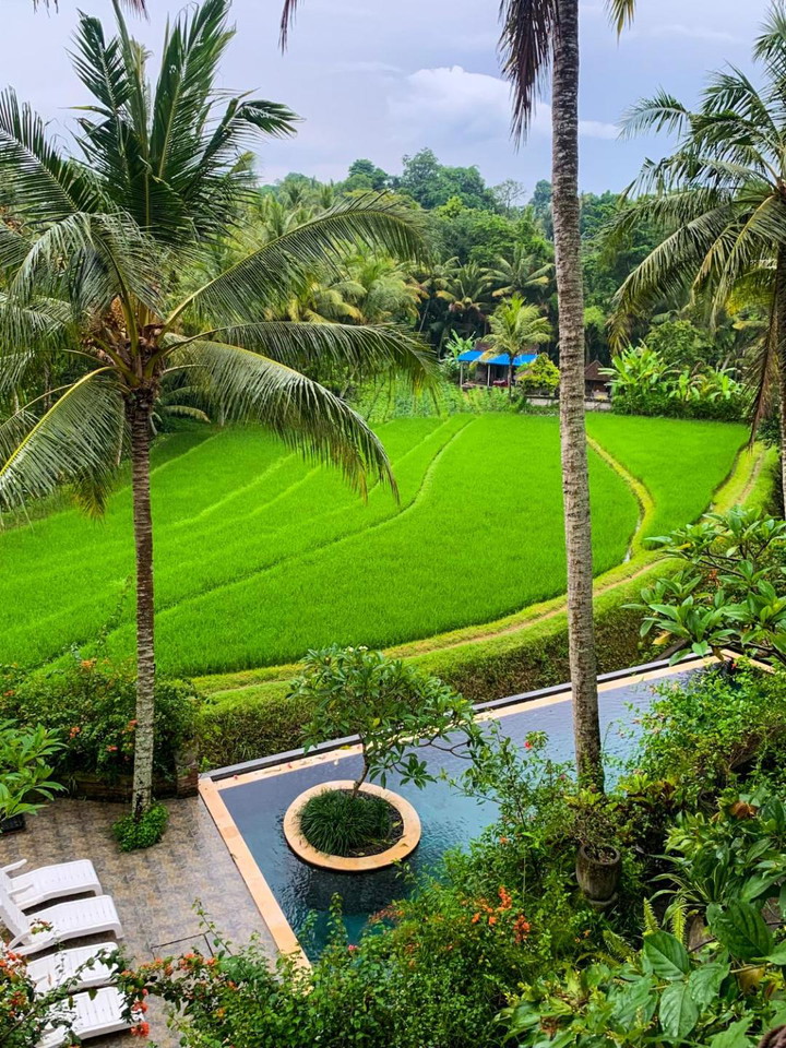 Umasari Rice Terrace Villa By Agata - Tabanan
