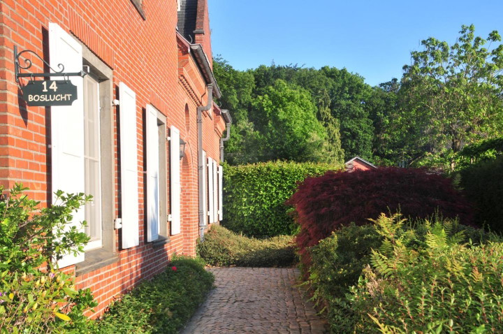Boslucht Leuven - Leuven