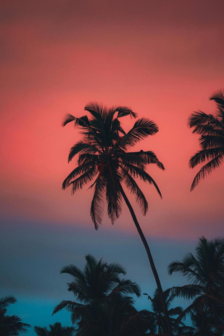 Tim's Place Anjuna Beach - Anjuna
